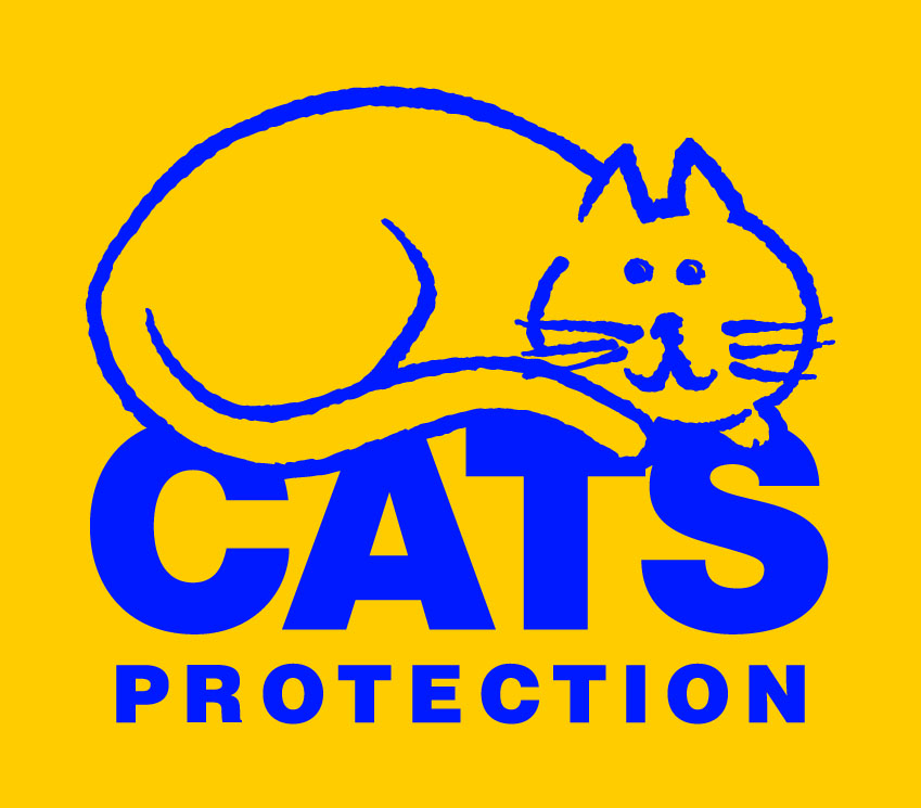 We're Supporting Cats Protection this October - Scrap Car Comparison